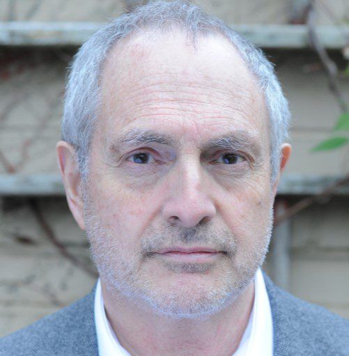 Training a Cocker Spaniel: Your Practical UK Guide